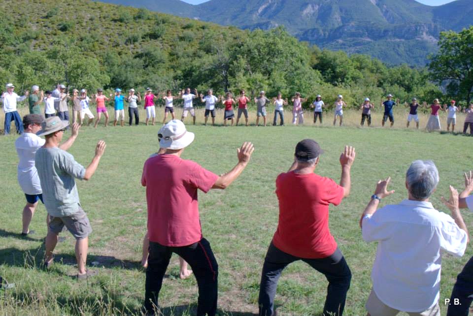 stage Art du Chi été 2014 | L'Art du Chi